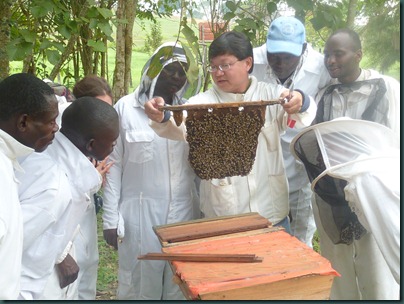From The Heart Of Uganda: Wild African Bees - Beekeeping Workshop